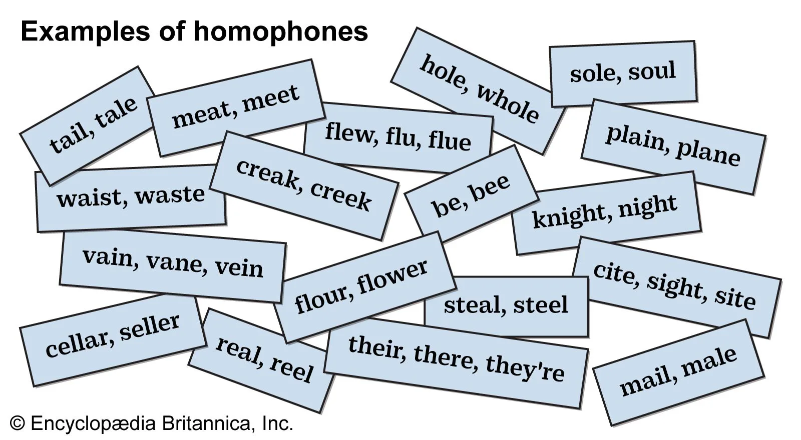 Homophones Quiz | Quizizz