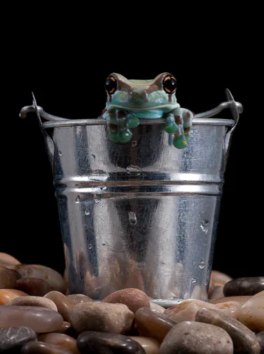 Journeys Grade 4: Lesson 27 Vocabulary Quiz 4th Grade Quiz | Quizizz