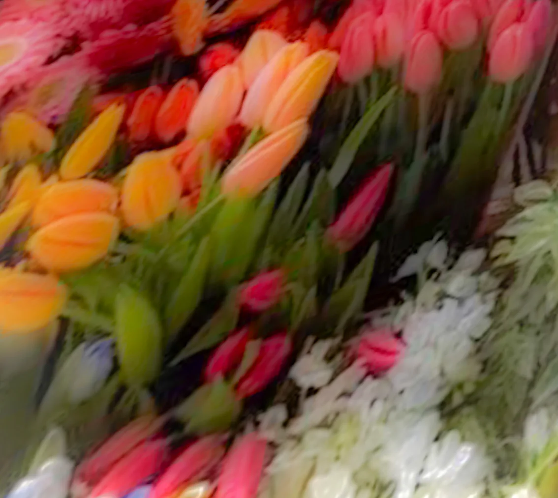 Spanish Demonstrative Pronouns Flashcards