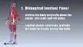 HST-AP - Mapping the Body Interactive Video