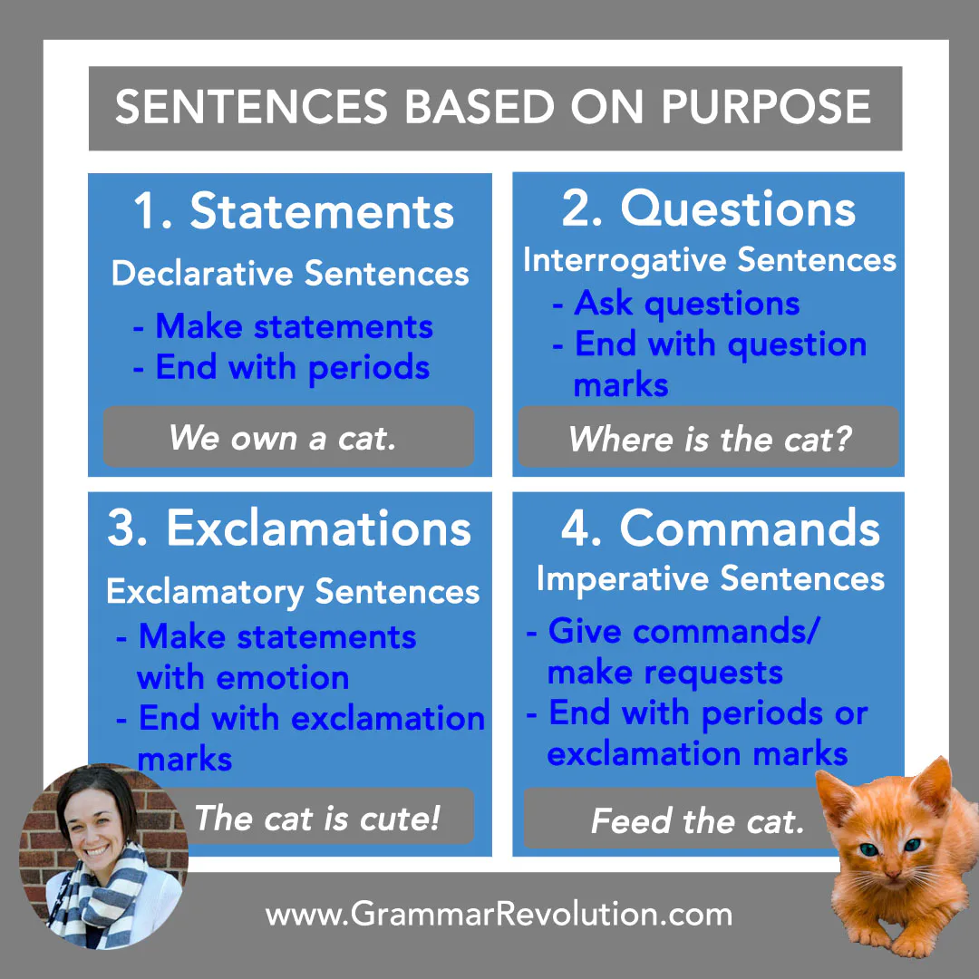 Types of Sentences 4th Grade Flashcard | Quizizz