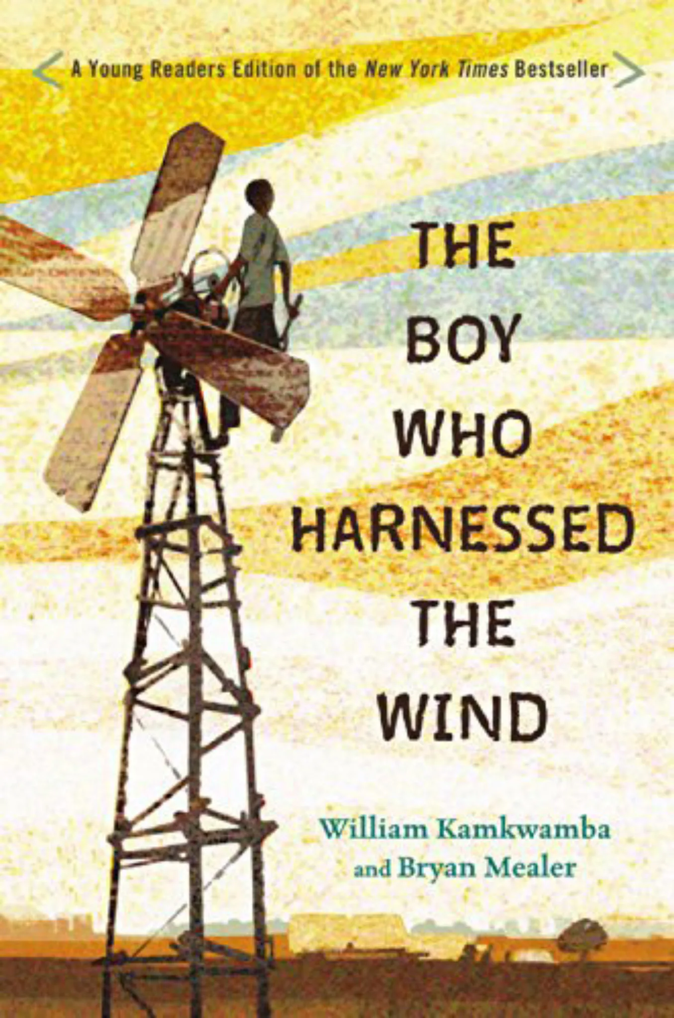 The Boy Who Harnessed the Wind: A Story Analysis Quiz