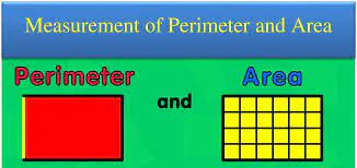 Measurement Area and Perimeter 5th - 6th Grade Quiz | Quizizz