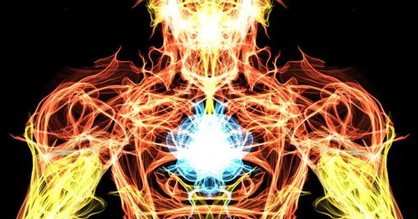 Flocabulary ( Nice and Lean) 6th - 8th Grade Flashcard | Wayground