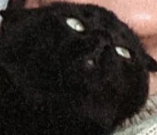 Math (decimal and fraction review) 5th Grade Quiz | Quizizz