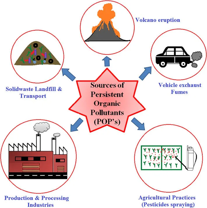 Persistent Organic Pollutants: A Global Issue, A Global Response 12th ...