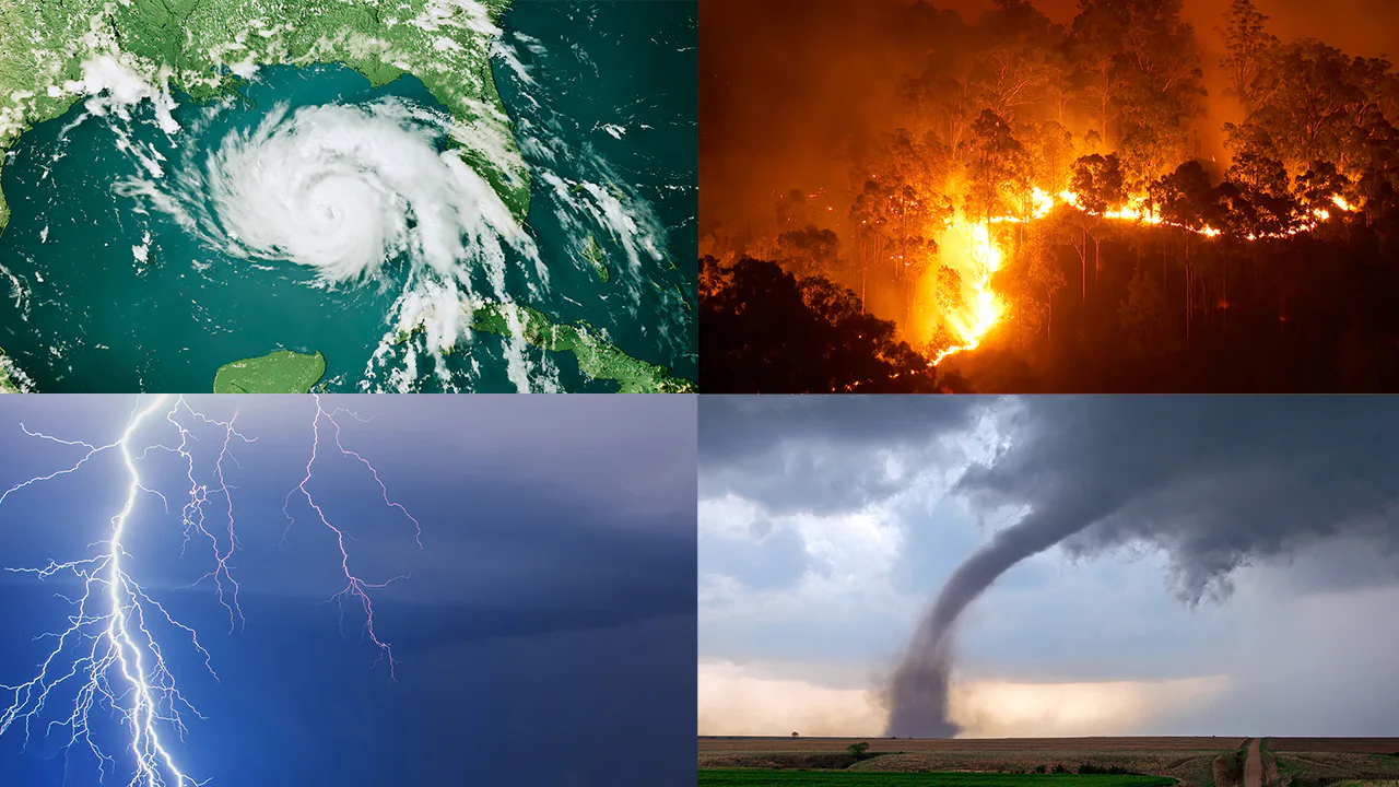 Natural Hazards Quiz 3rd Grade Quiz | Quizizz