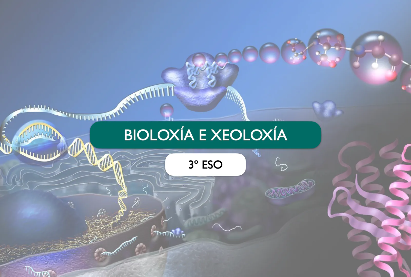 Avaliación diagnóstica 3º ESO 9th Grade Quiz | Wayground