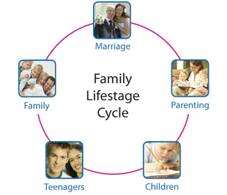Understanding the Family Life Cycle Quiz