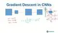 Deep Learning CNN Convolutional Neural Networks with Python - Extending ...