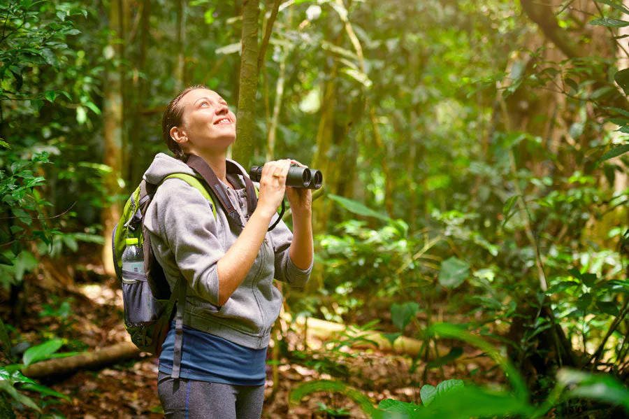 Unit 2 Observations- Week 1 & 2 Vocabulary 5th Grade Quiz | Quizizz