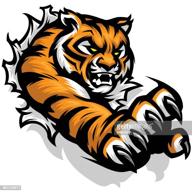 Solve a Quadratic by Factoring, Quadratic Formula, and Graph 9th Grade ...