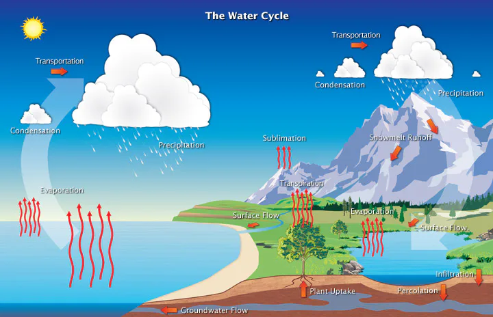 Water Cycle Process Practice Quiz 2 6th Grade Quiz | Quizizz