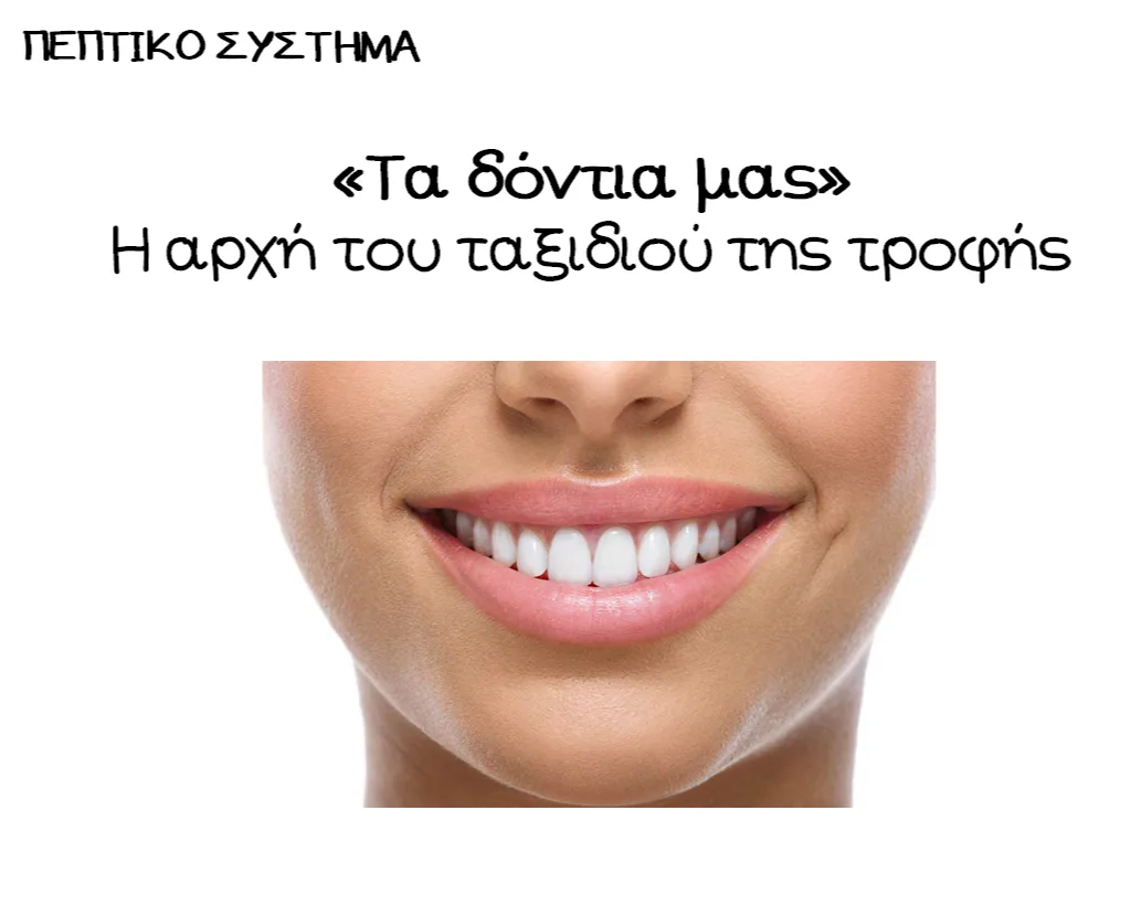 Δοντια - Το ταξίδι της τροφής 5th Grade Quiz | Quizizz