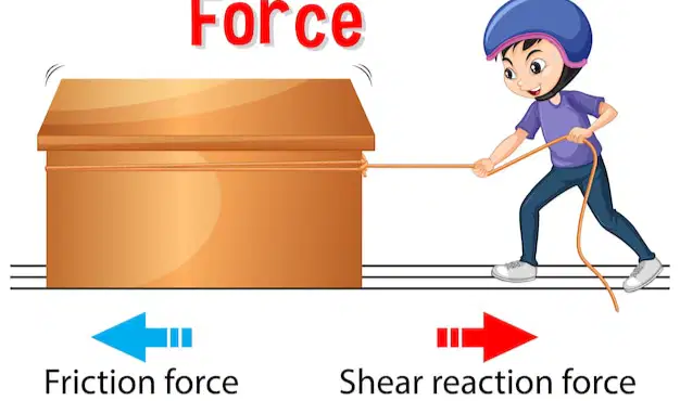 Review: Forces Quiz