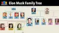 Elon Musk Family Tree 6th Grade - University Video | Quizizz