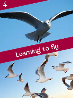 Jonathan Livingston Seagull Quiz