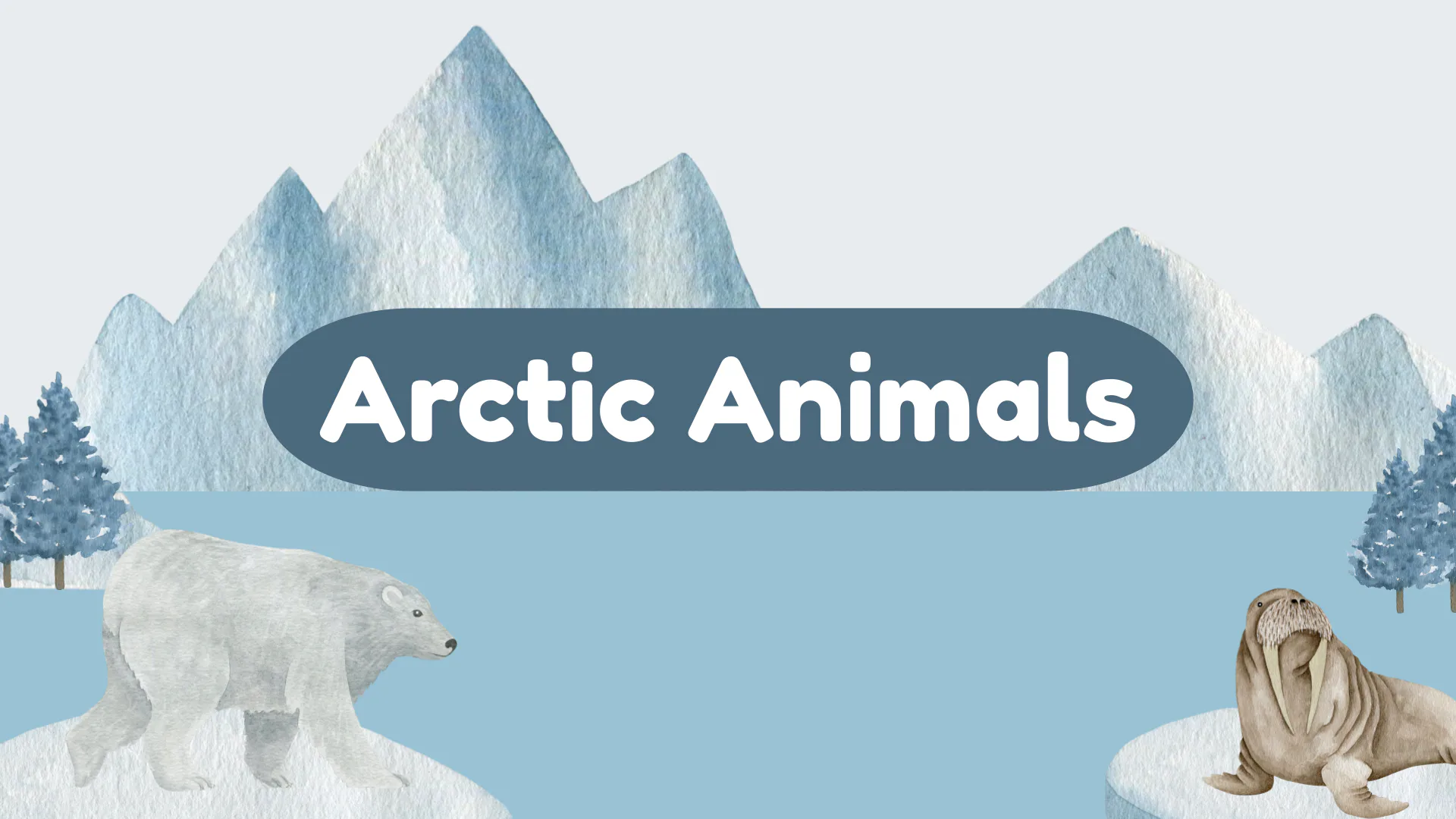 Arctic Animals Quiz Quiz