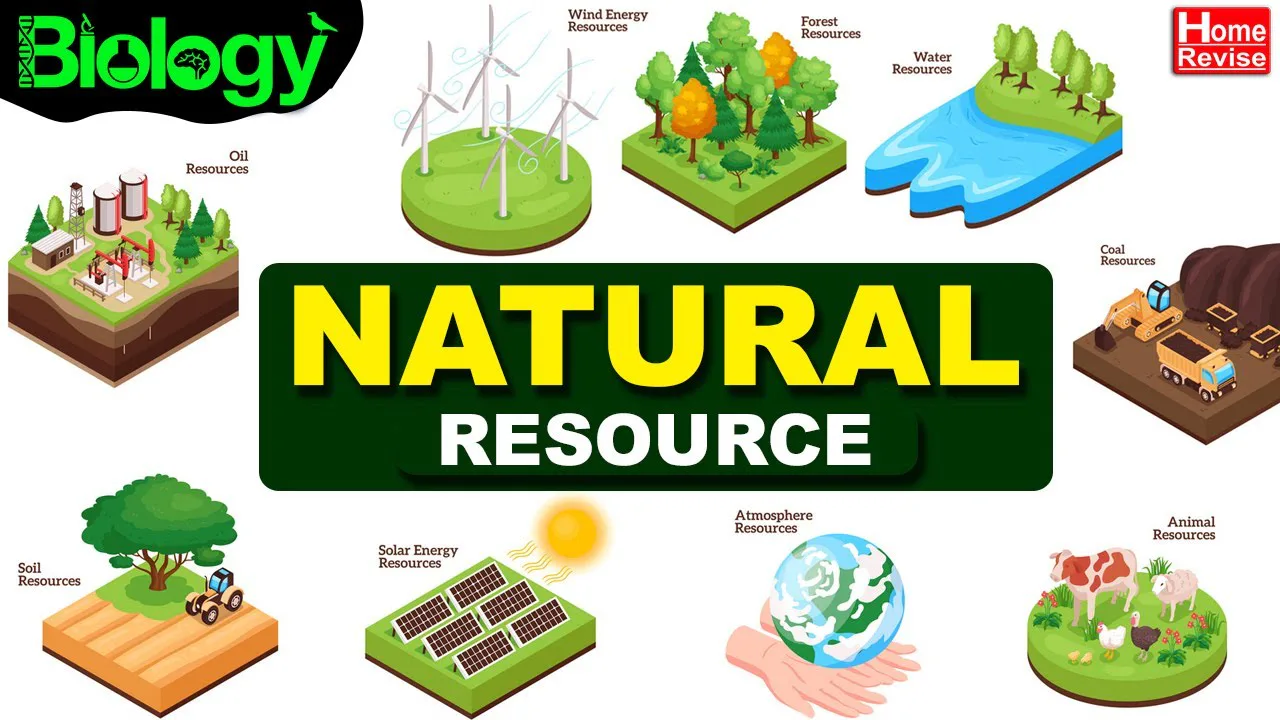Topic 6 Natural Resources Test 6th Grade Quiz | Wayground (formerly ...