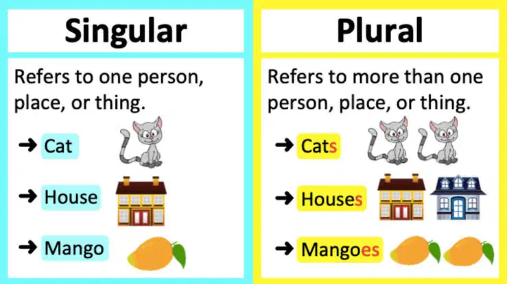 Plural Nouns and Singular Forms Quiz Quiz