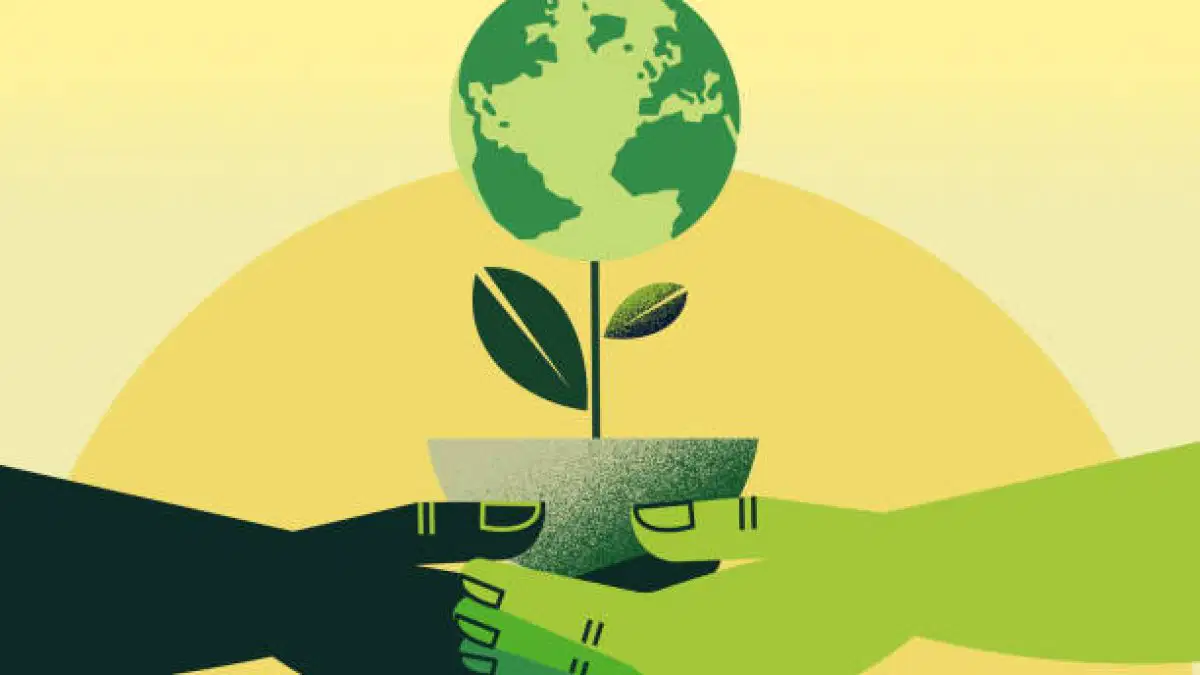 Green Issues University Quiz | Quizizz