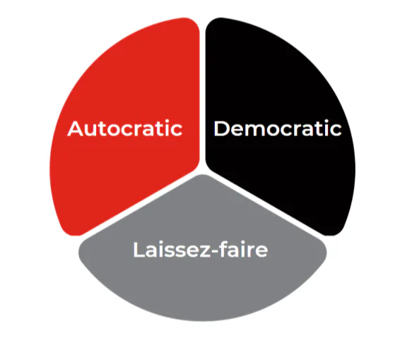 Leadership Styles Quiz Professional Development Quiz | Quizizz