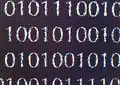 Binary: What Is Binary? Interactive Video