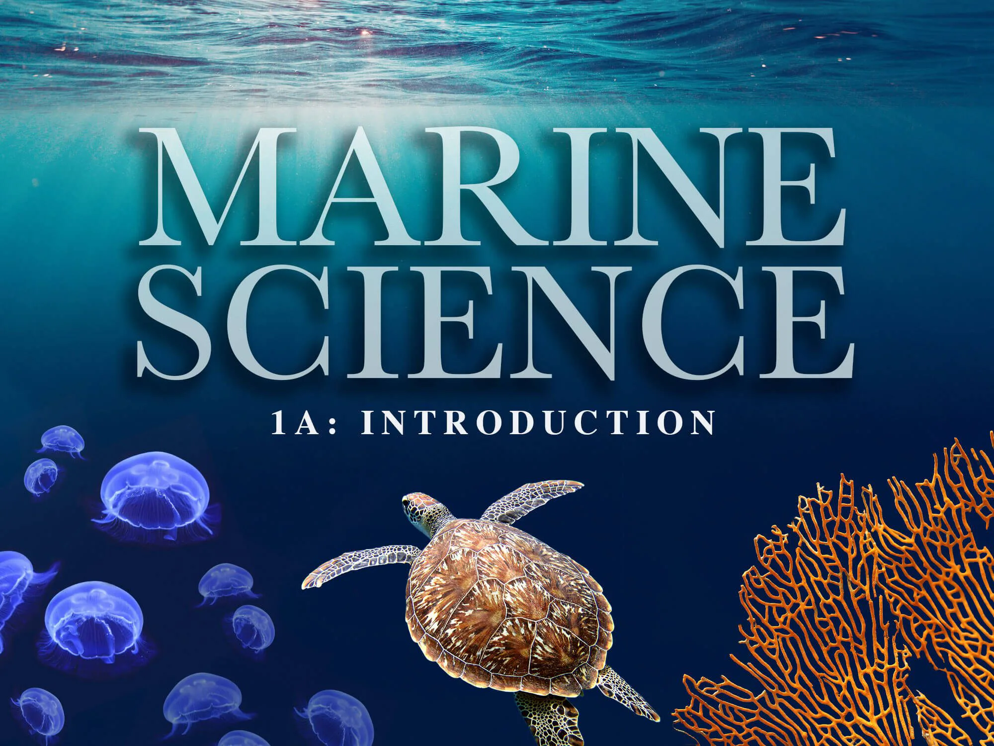 Intro to Marine Science Review 10th Grade Flashcard | Quizizz