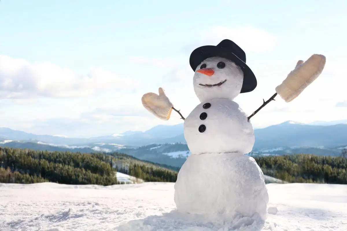 UNIT 4 "THE SNOWMAN" 1st Grade Quiz