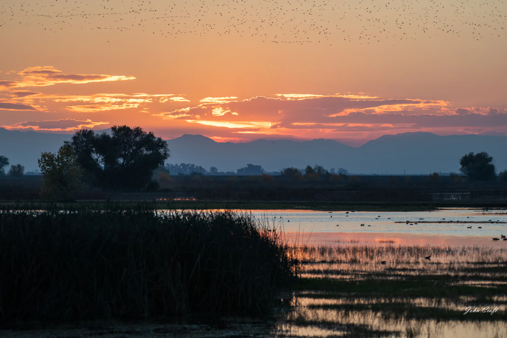 Climate and Weather Review Flashcard