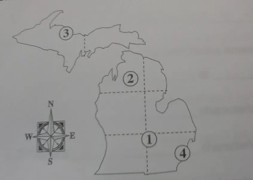 Michigan Test Chapter 1 3rd Grade Quiz | Quizizz