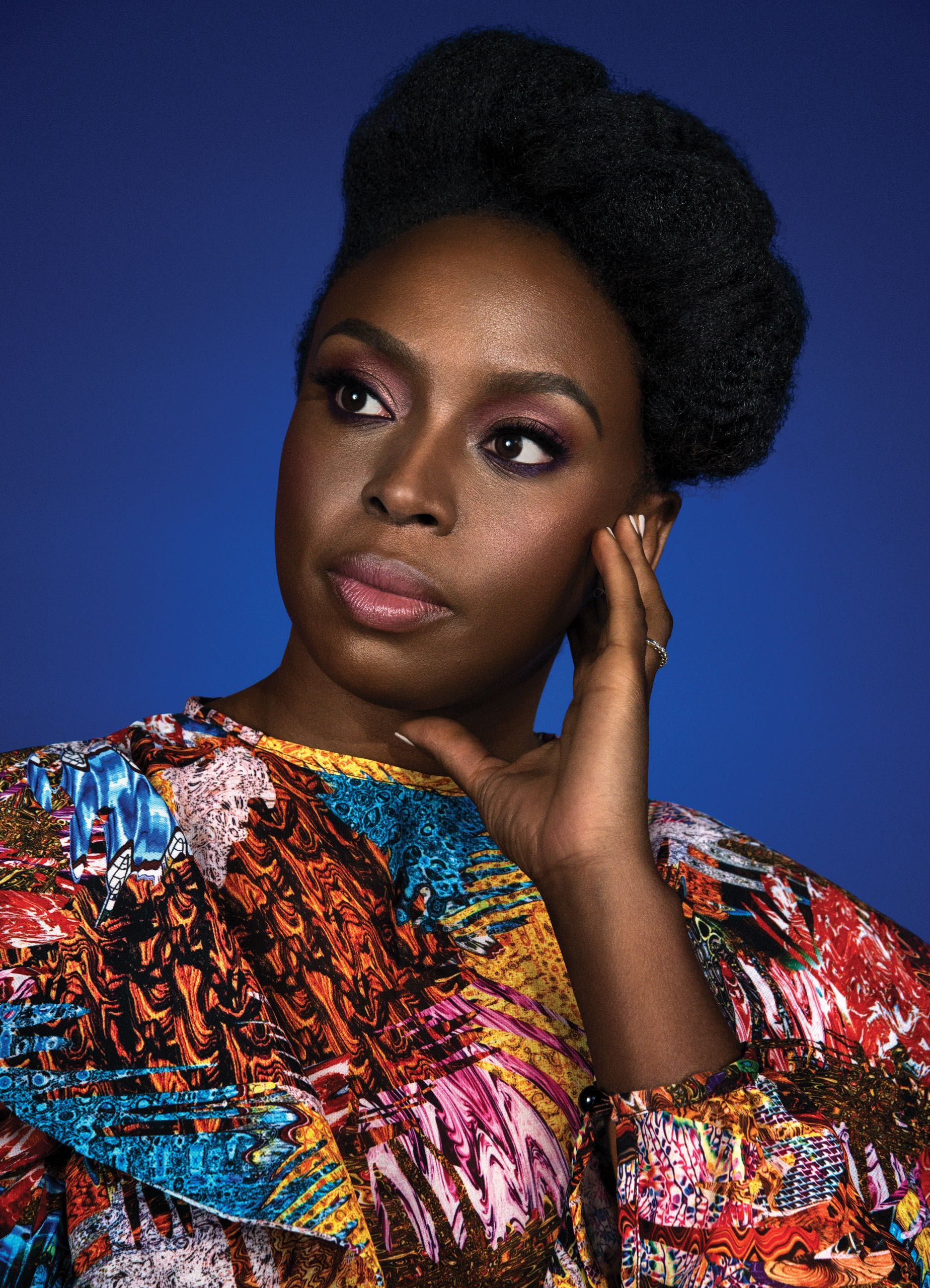 The Danger of a Single Story By Chimamanda Ngozi Adichie 2009 Quiz