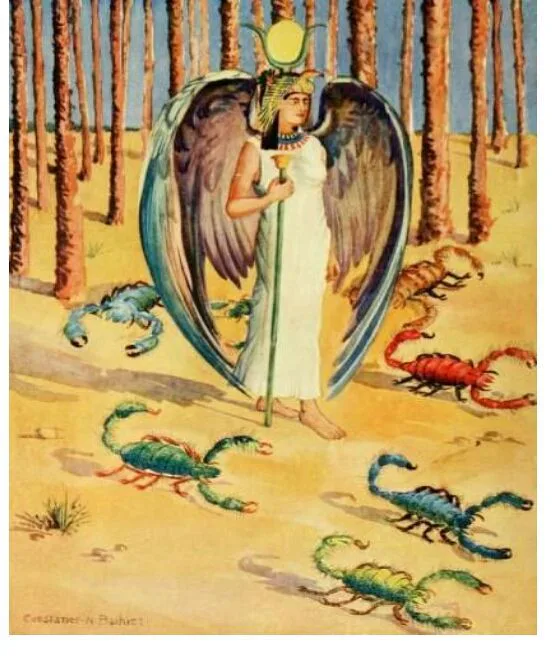 House of Scorpions Quiz