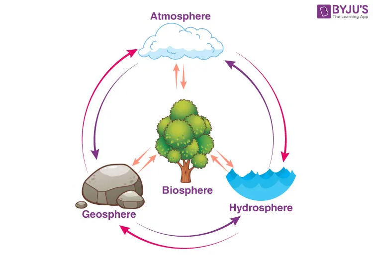 Resources in Earth's Systems 6th Grade Quiz | Quizizz