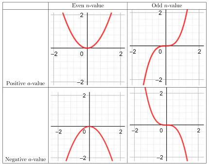 Polynomial End Behavior Review 11th Grade Flashcard | Quizizz