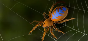 AMPLIFY Traits and Reproduction Review Quiz