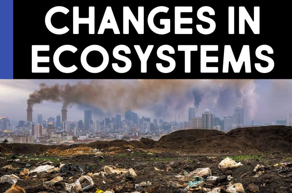 Changes in Ecosystem 5th Grade Quiz | Quizizz