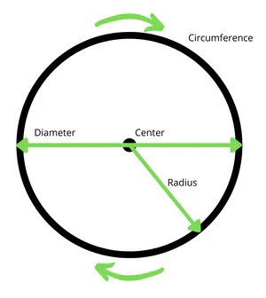 Radius Diameter Circumference Area of Circles 7th Grade Quiz ...