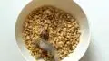 The History and Making of Muesli Interactive Video