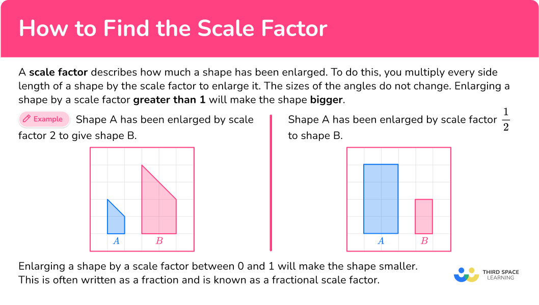 Scale Drawing and Proportions 6th - 8th Grade Quiz | Wayground