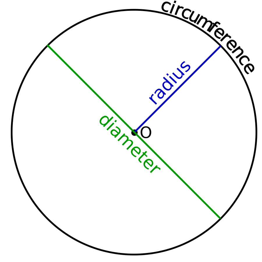 Radius Diameter 6th Grade Quiz | Quizizz