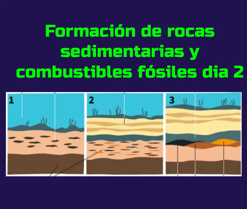 Fossil Fuels and Sedimentary Rocks Day 2 (Spanish) 5th Grade Flashcard ...