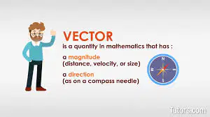 Concepts in Vectors Quiz Quiz