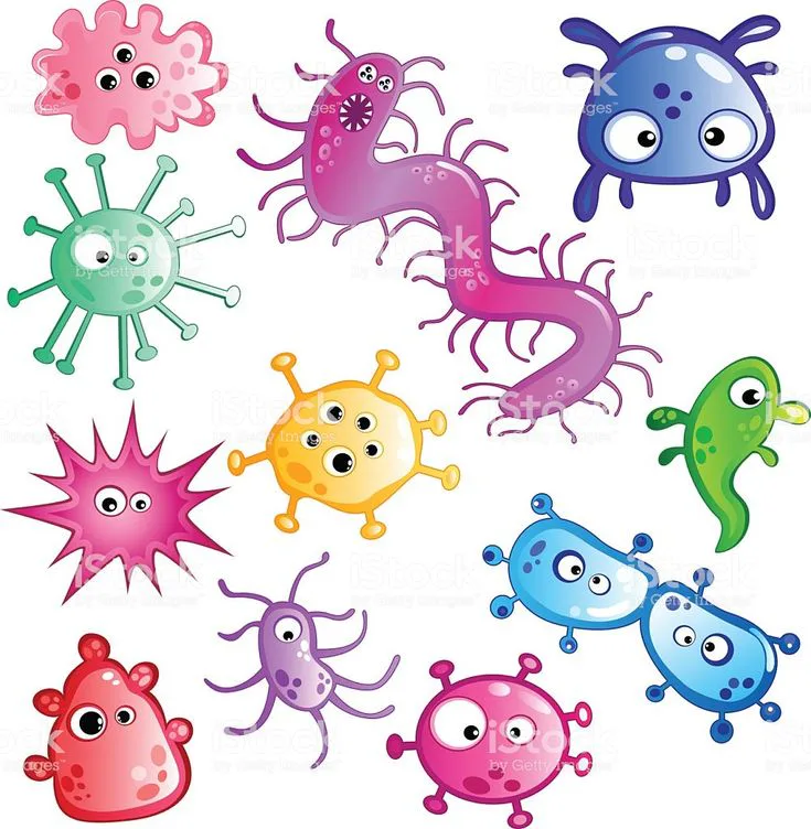 Pathogens Review 8th Grade Flashcard | Wayground (formerly Quizizz)