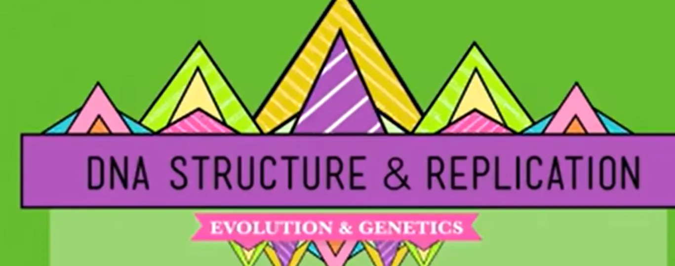 Crash Course: DNA Structure and Replication Interactive Video