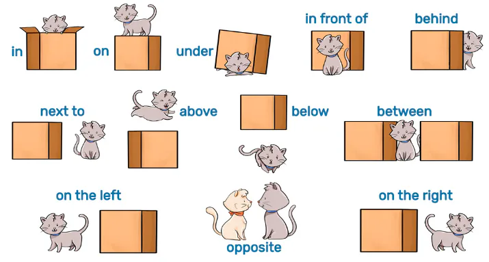 Prepositions of place 9th - 12th Grade Quiz | Quizizz