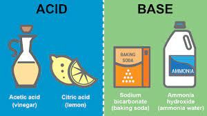 Acids and Bases 10th Grade Quiz | Wayground