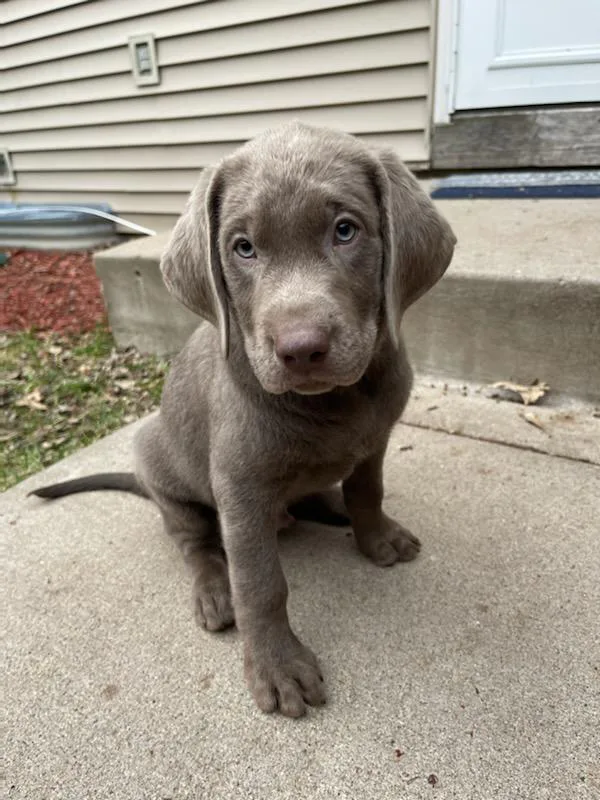 Designing for Collisions | Quizizz