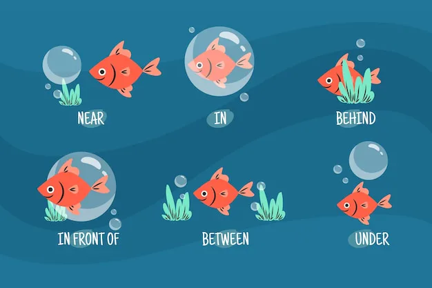 Prepositions, Object of the Preposition, & Prepositional Phrases 5th ...