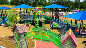 Twig-Module. 1 Assessment Flashcards